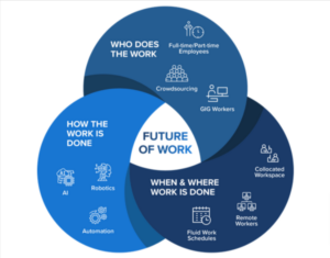 Global Job Market Trends 2025: Real-Time Labor Insights